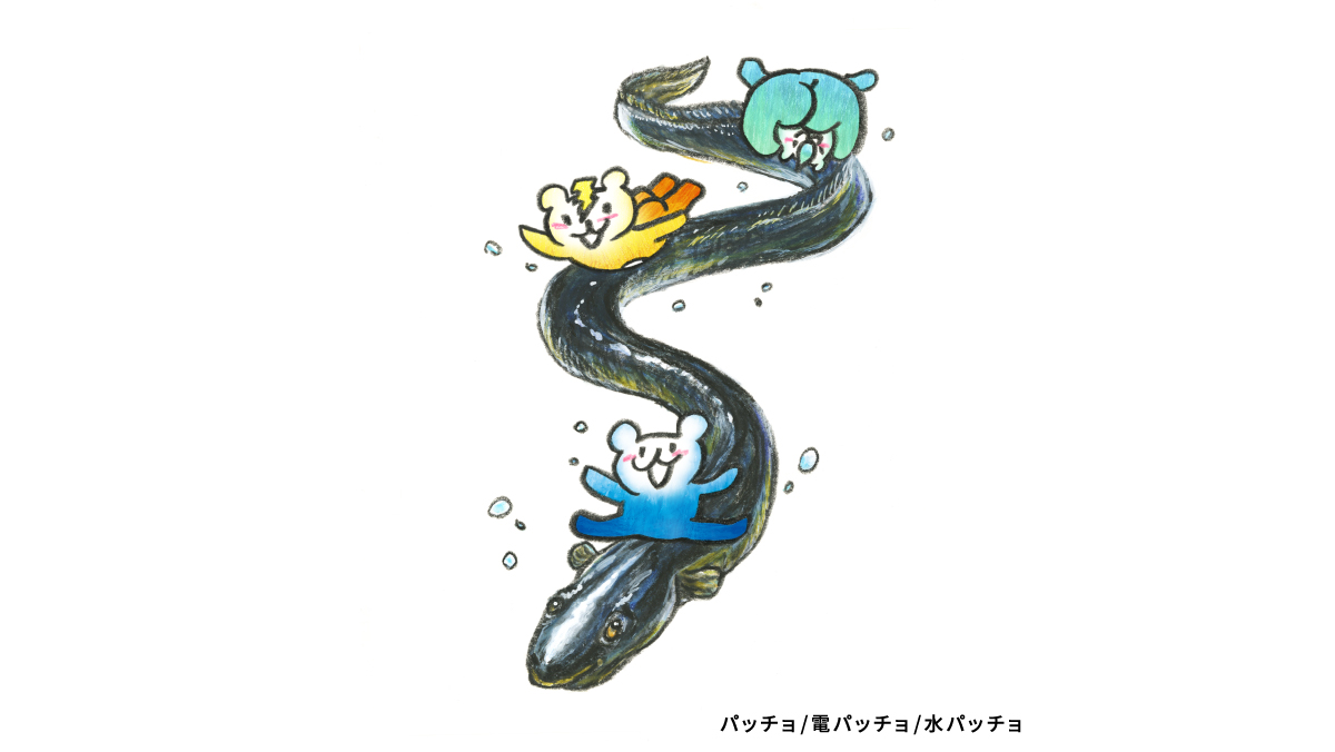 7月29日（ '人' ）のパッチョ日記 | 東京ガス ウチコト